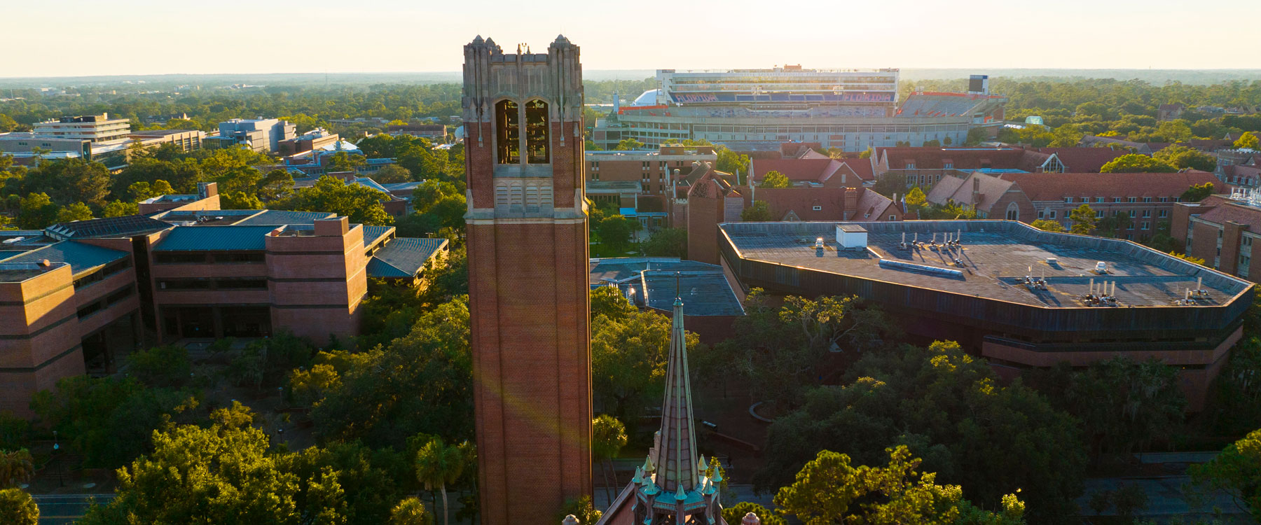 University Of Florida Approved Vendor List